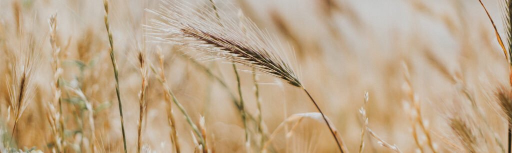 Stinson Place | Uniform Developments